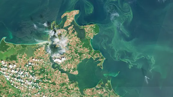 Klimawandel: So steigt die Temperatur in Nord- und Ostsee | ndr.de