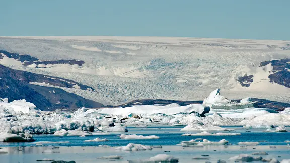 Grönland: Auswanderer Tim Jensen aus Lübeck zu Trump-Plänen | ndr.de