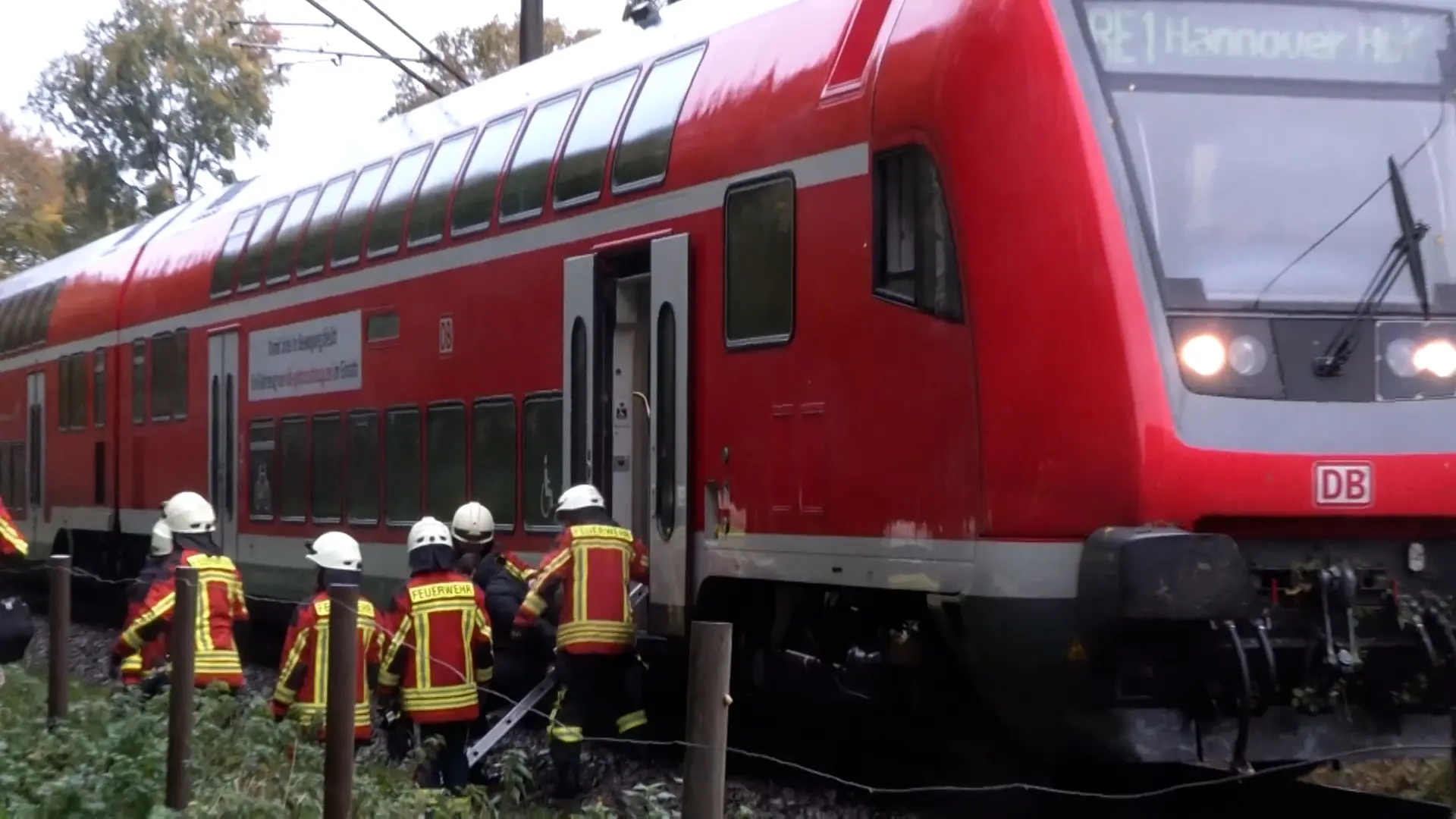 Sturm: Baum fällt auf Oberleitung - Feuerwehr evakuiert Zug | ndr.de