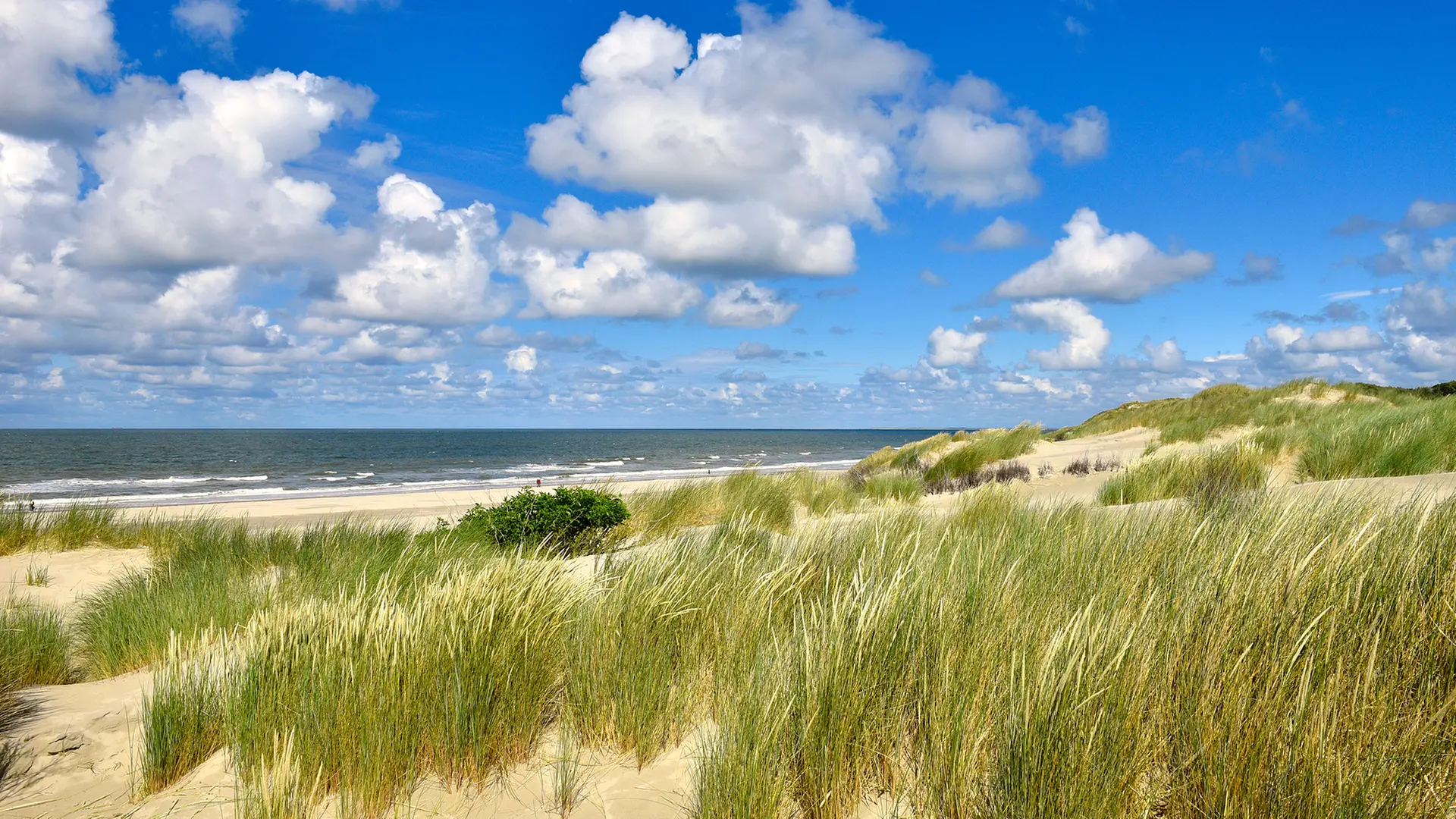 Borkum: Nordsee-Urlaub auf der größten Ostfriesischen Insel | ndr.de