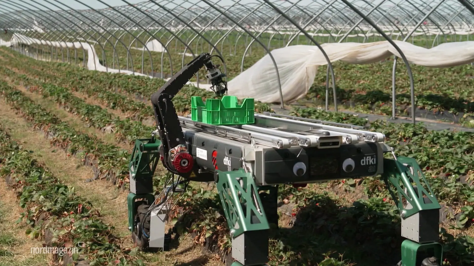 Testphase: Roboter ernten Erdbeeren | ndr.de