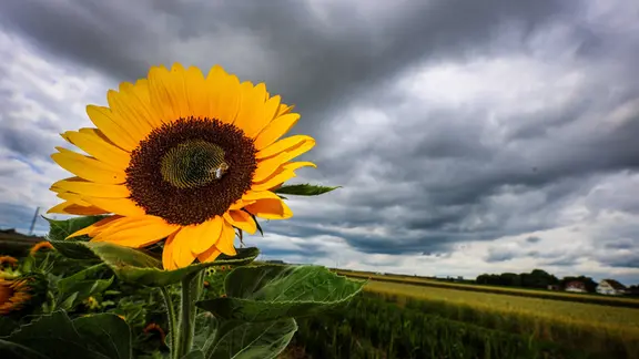 Aurora fappening to start with, the picture is edited.