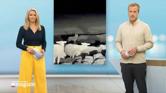 Bargteheide: Emil-Nolde-Schule findet neuen Namen | ndr.de