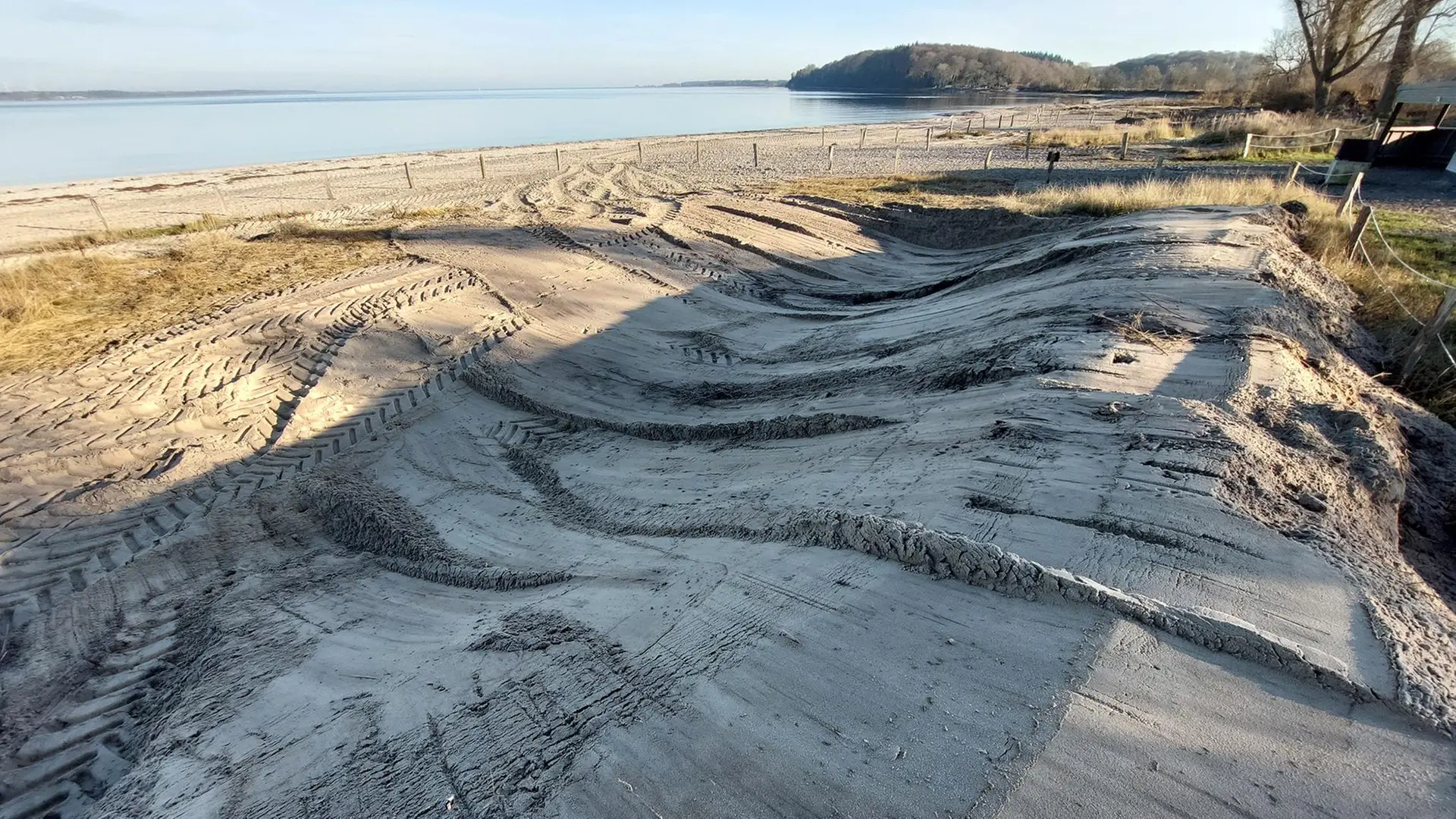 Naturschutzmaßnahmen am Südstrand in Eckernförde | ndr.de