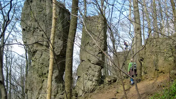 Kletterunfall am Ith: Mann stürzt mehrere Meter in die Tiefe | ndr.de