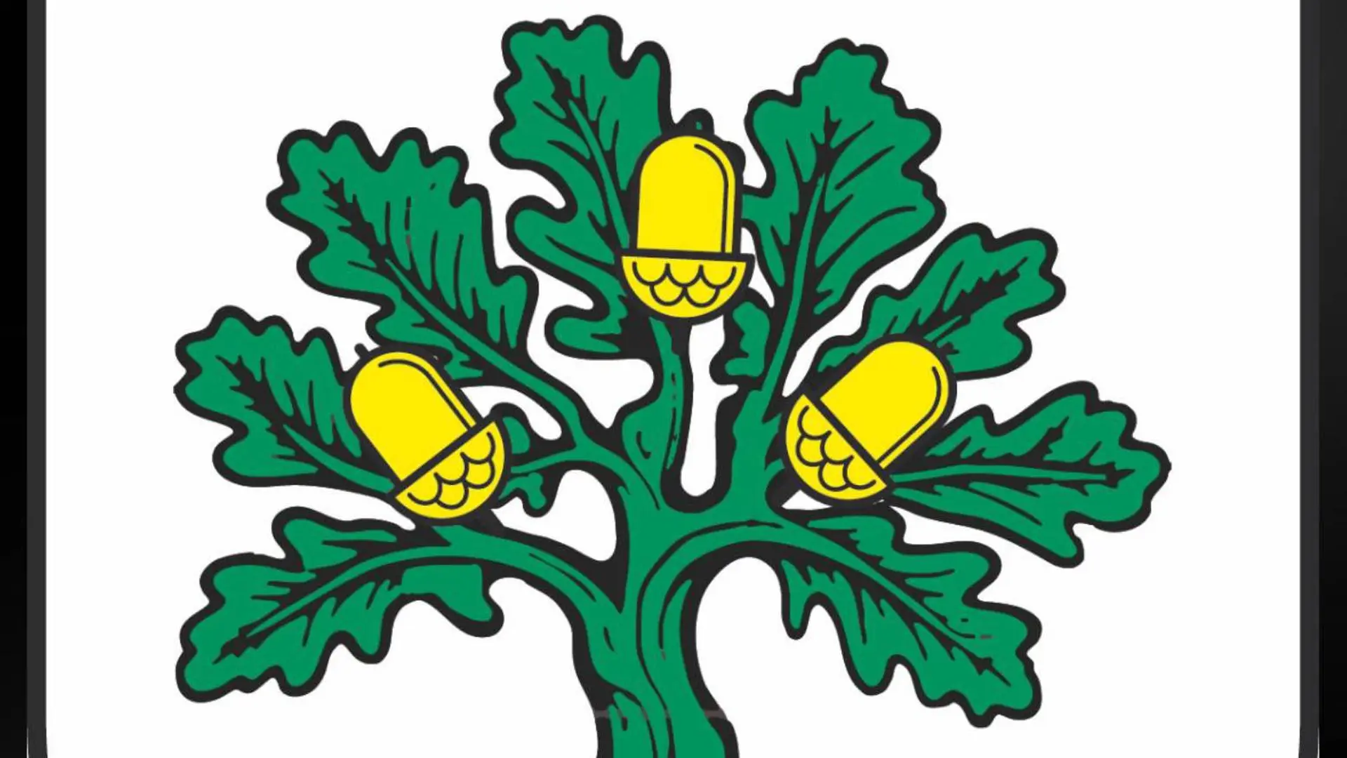 Gemeinde Dalberg-Wendelstorf bekommt Wappen | ndr.de