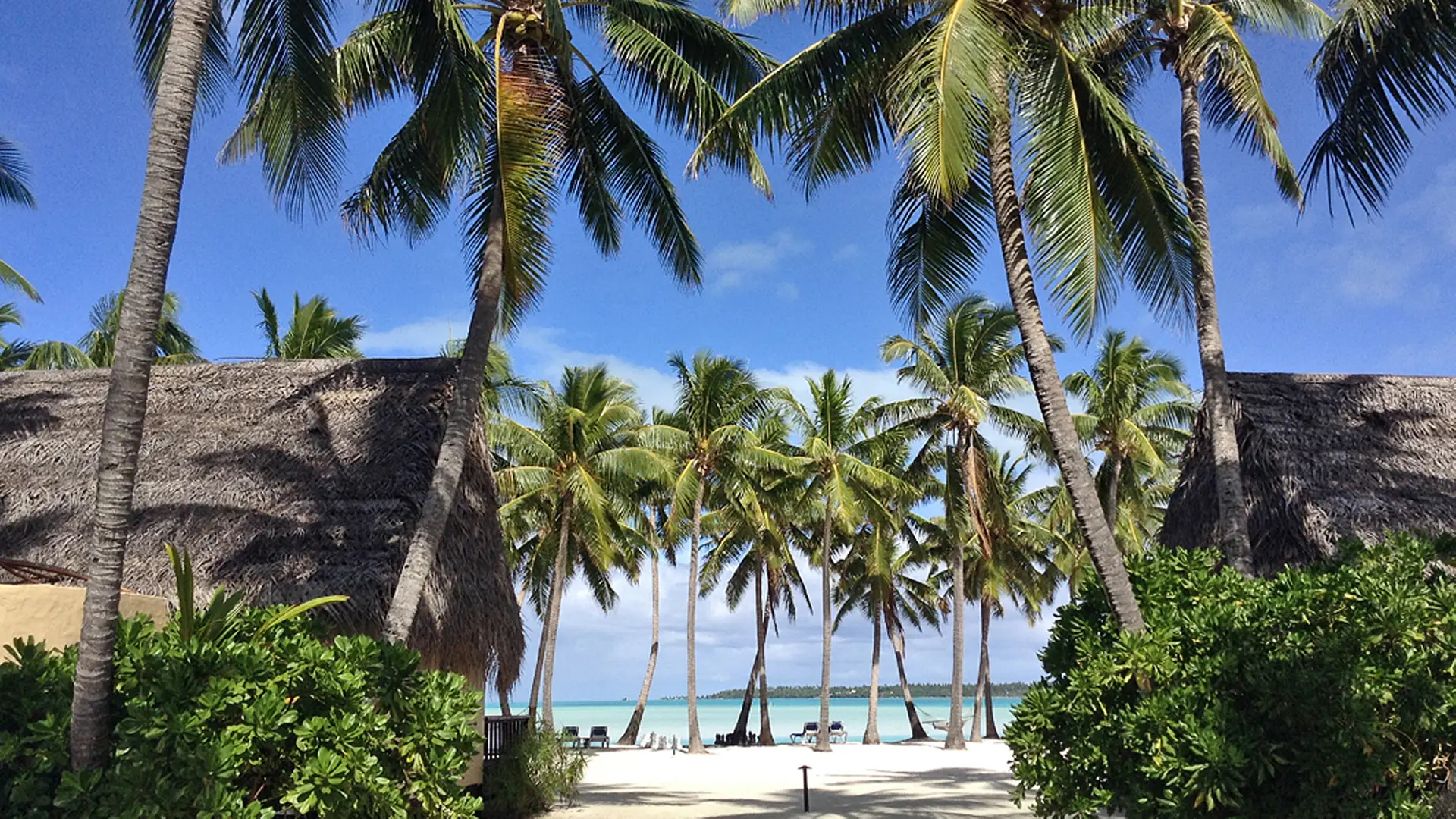 Kampf um die Cook Inseln | ndr.de