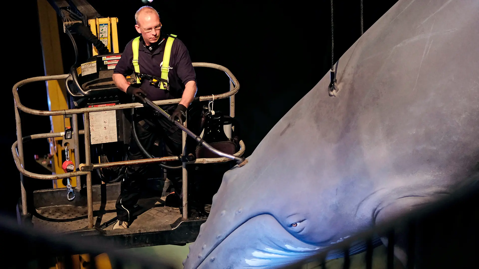Das Meer unter einem Dach - Das Ozeaneum in Stralsund | ndr.de