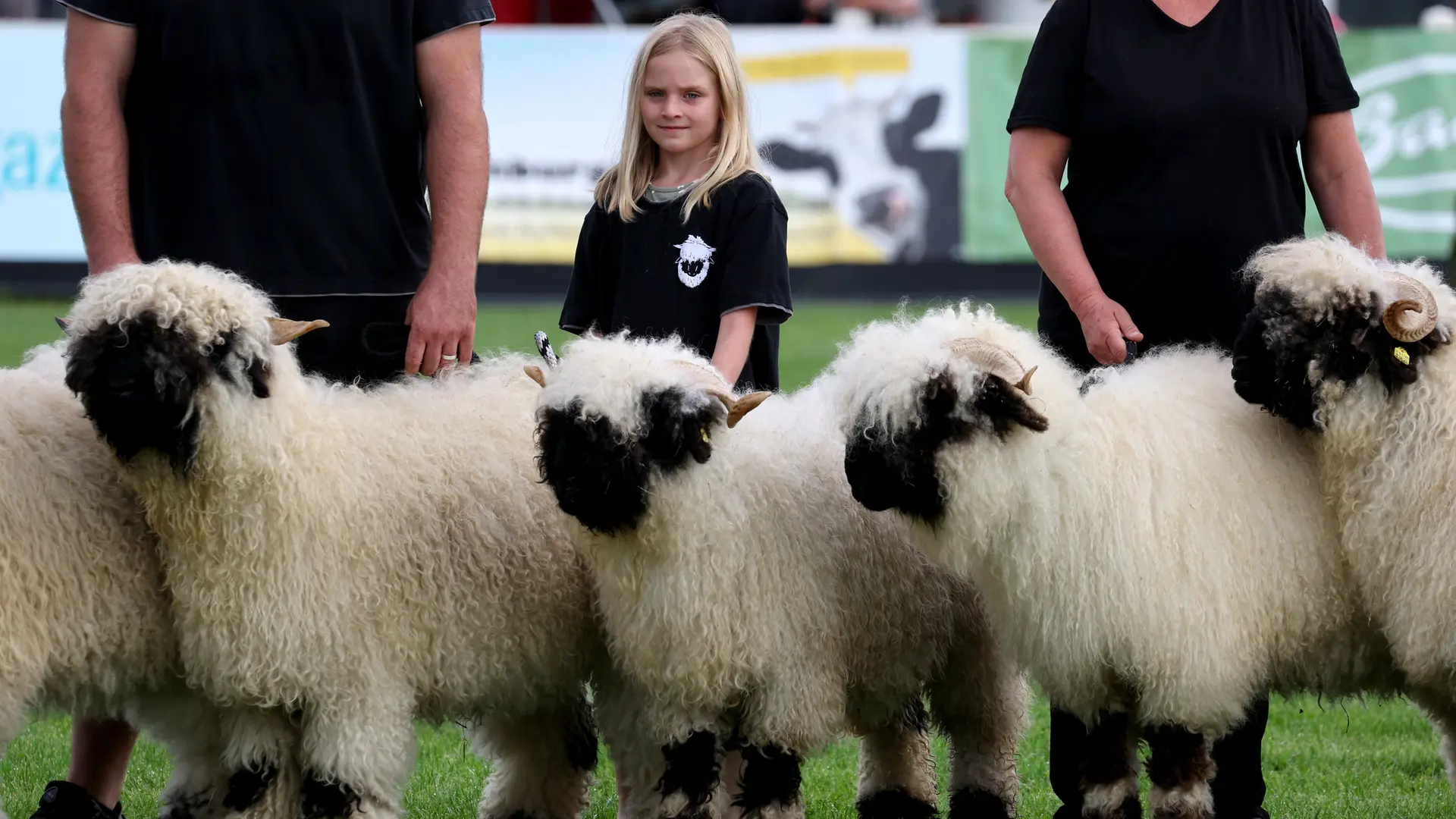 NDR 1 Radio MV | ndr.de