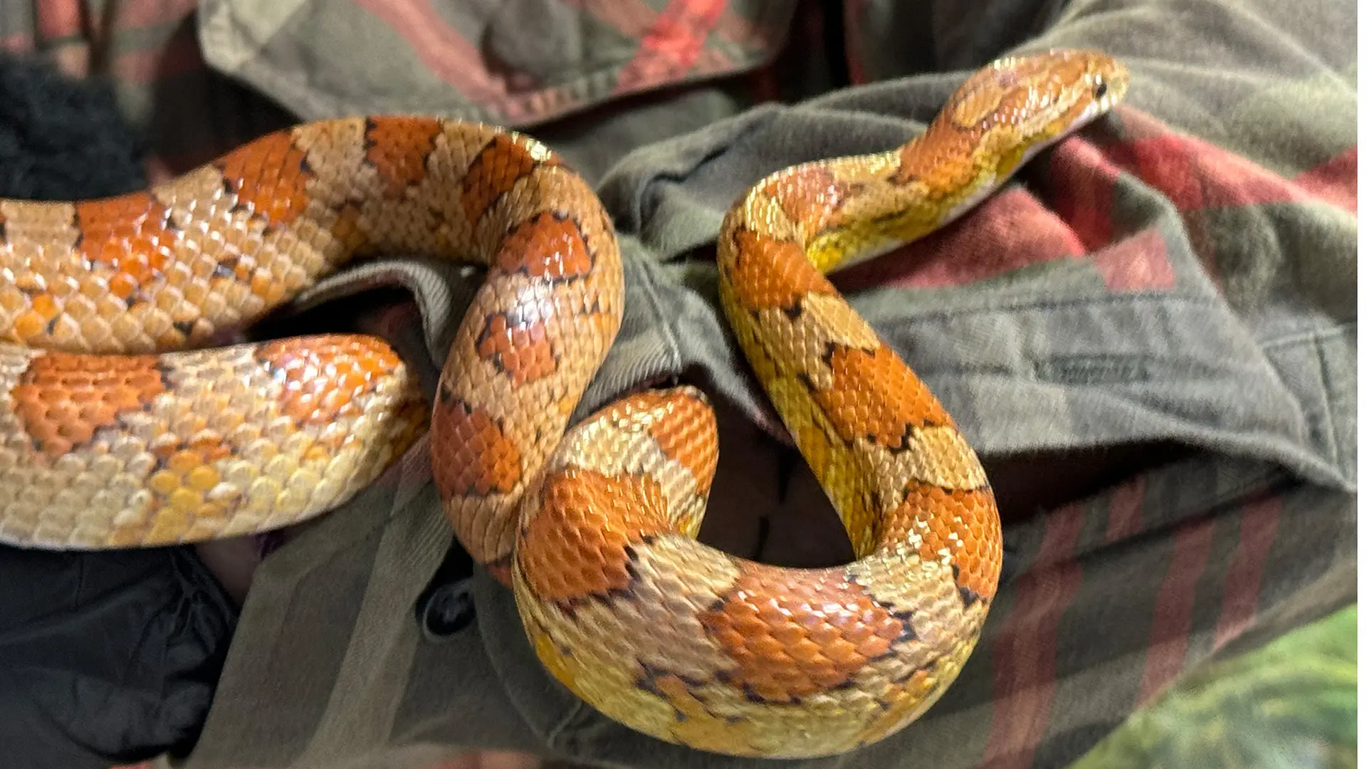 BINGO! - Die Umweltlotterie | ndr.de