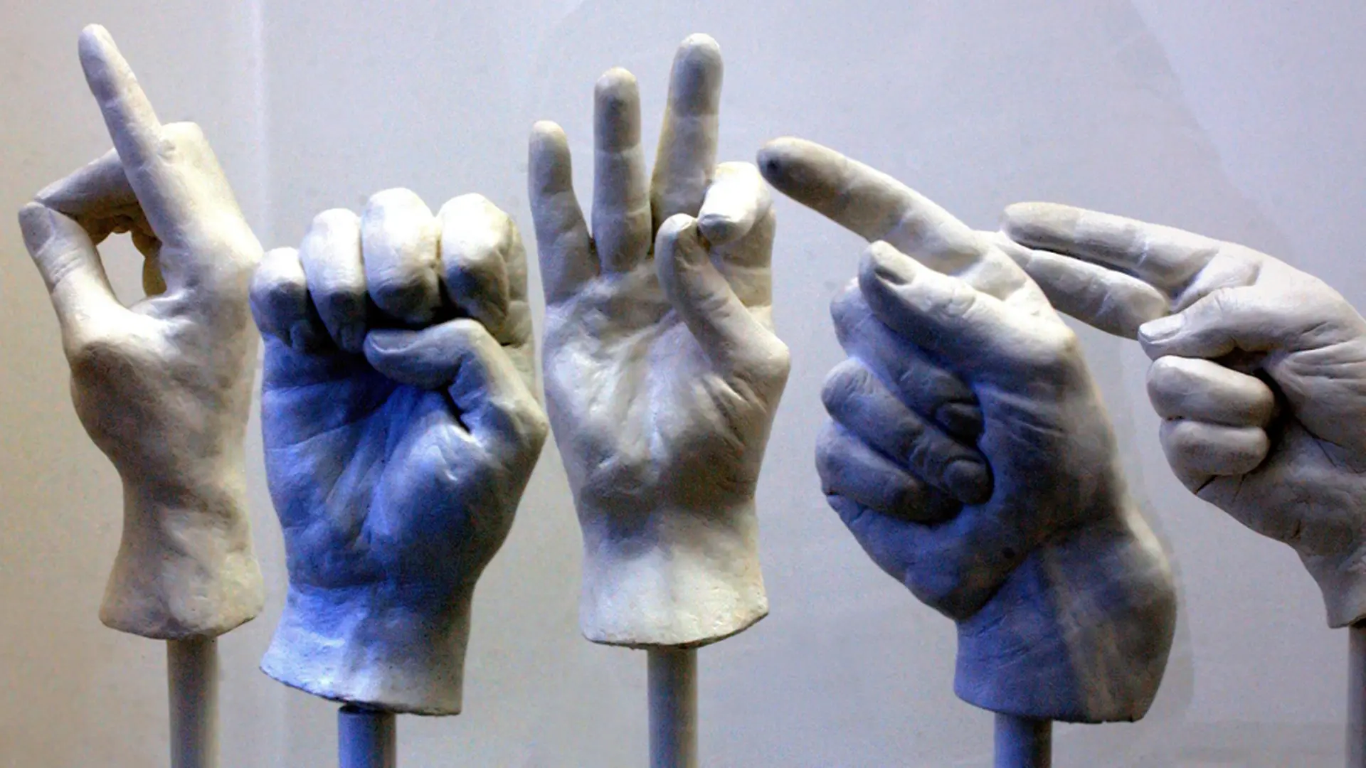 Sehen statt Hören | ndr.de