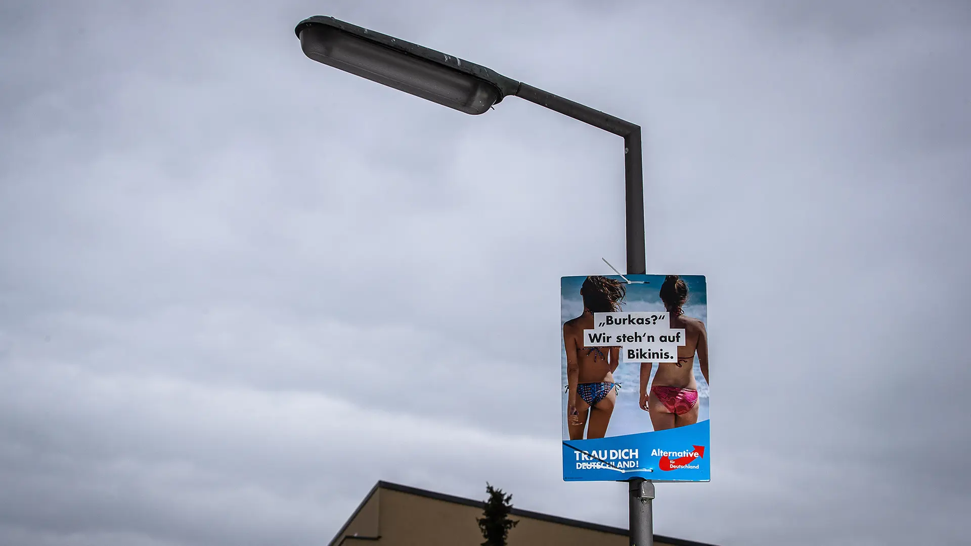 Die AfD und ihre Positionen zu Frauen und Familie | ndr.de