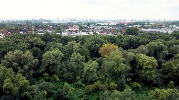 Ilka Petersen | ndr.de