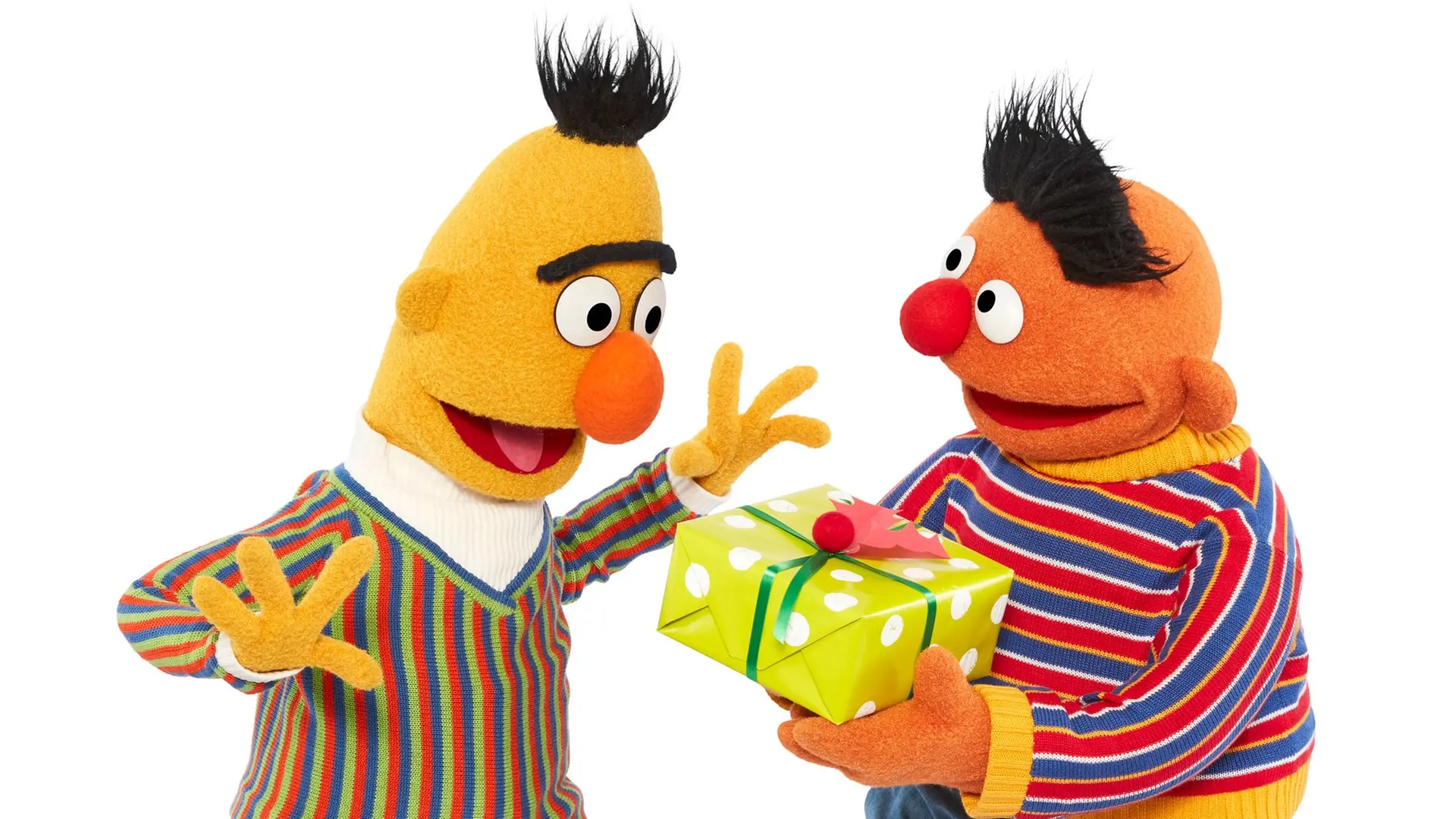 Bert hat Geburtstag | ndr.de