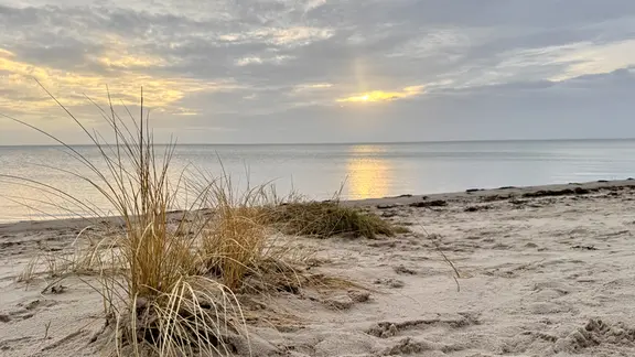 Sylt - Nachrichten und Videos von der Nordsee-Insel | ndr.de