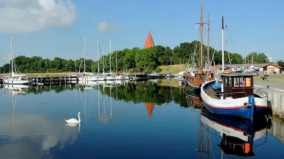Nach Pilzbefall: Holzstege im Kirchdorfer Hafen werden saniert | ndr.de