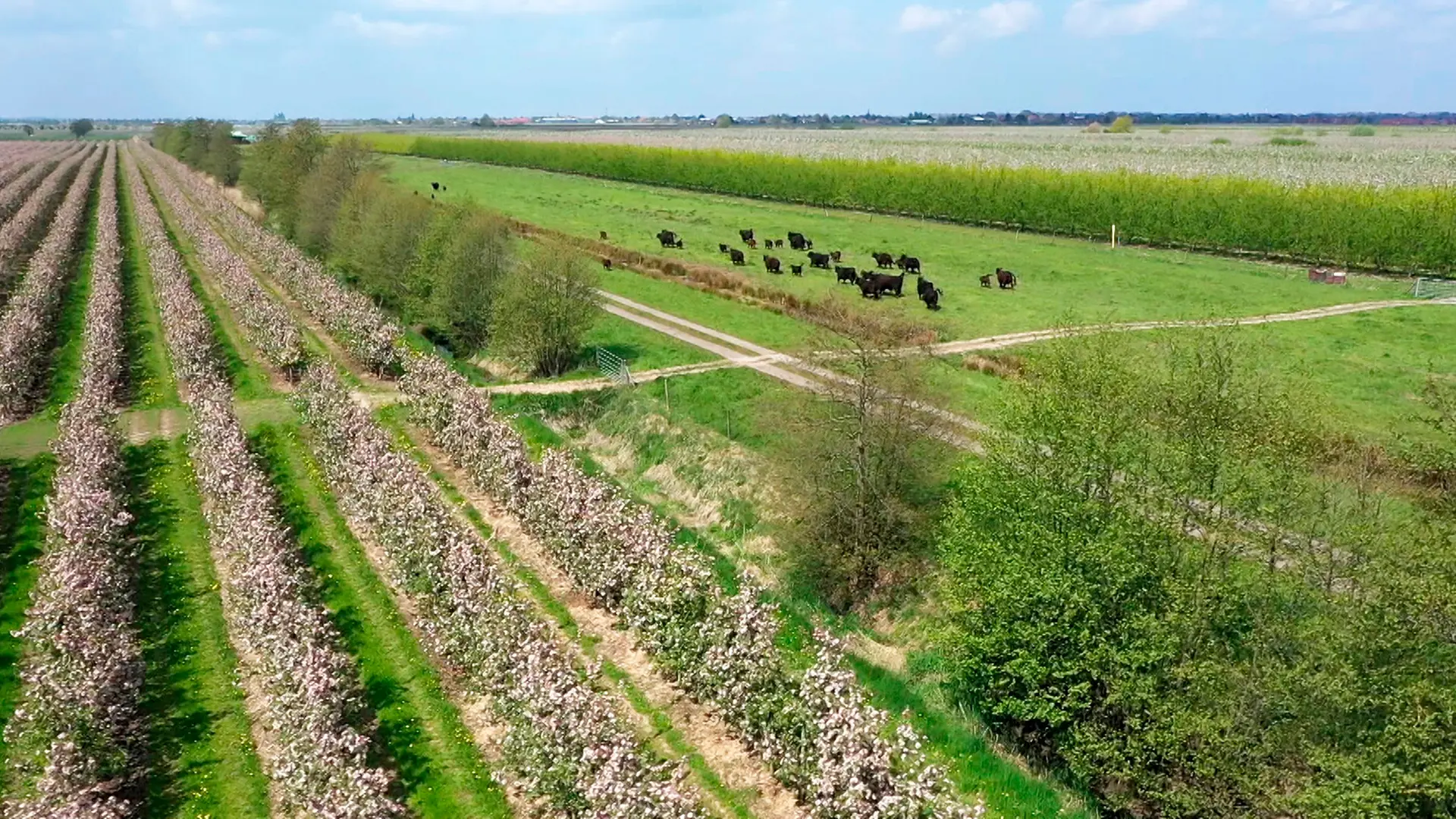 Das Alte Land neu entdecken | ndr.de