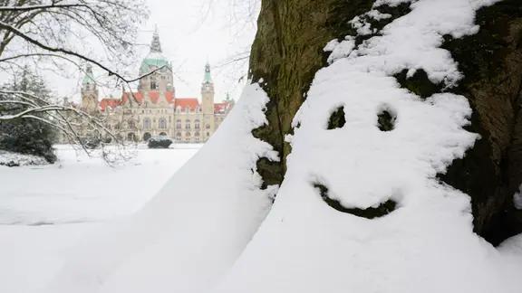 Verband Jüdischer Studierender Nord: "Antisemitismus ist sehr präsent ...
