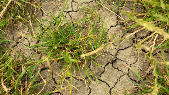 CSD 2025 in Hamburg: Alle Infos zu Demo, Straßenfest und Pride Week ...