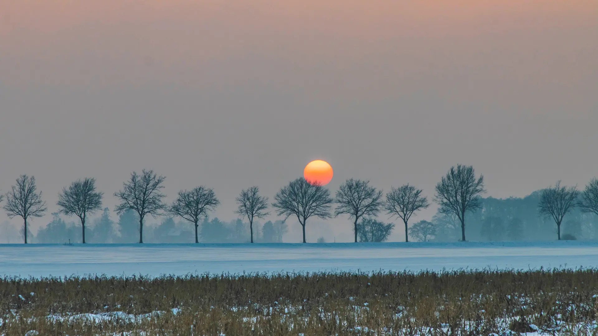 Ihre Wetterbilder im Januar | ndr.de
