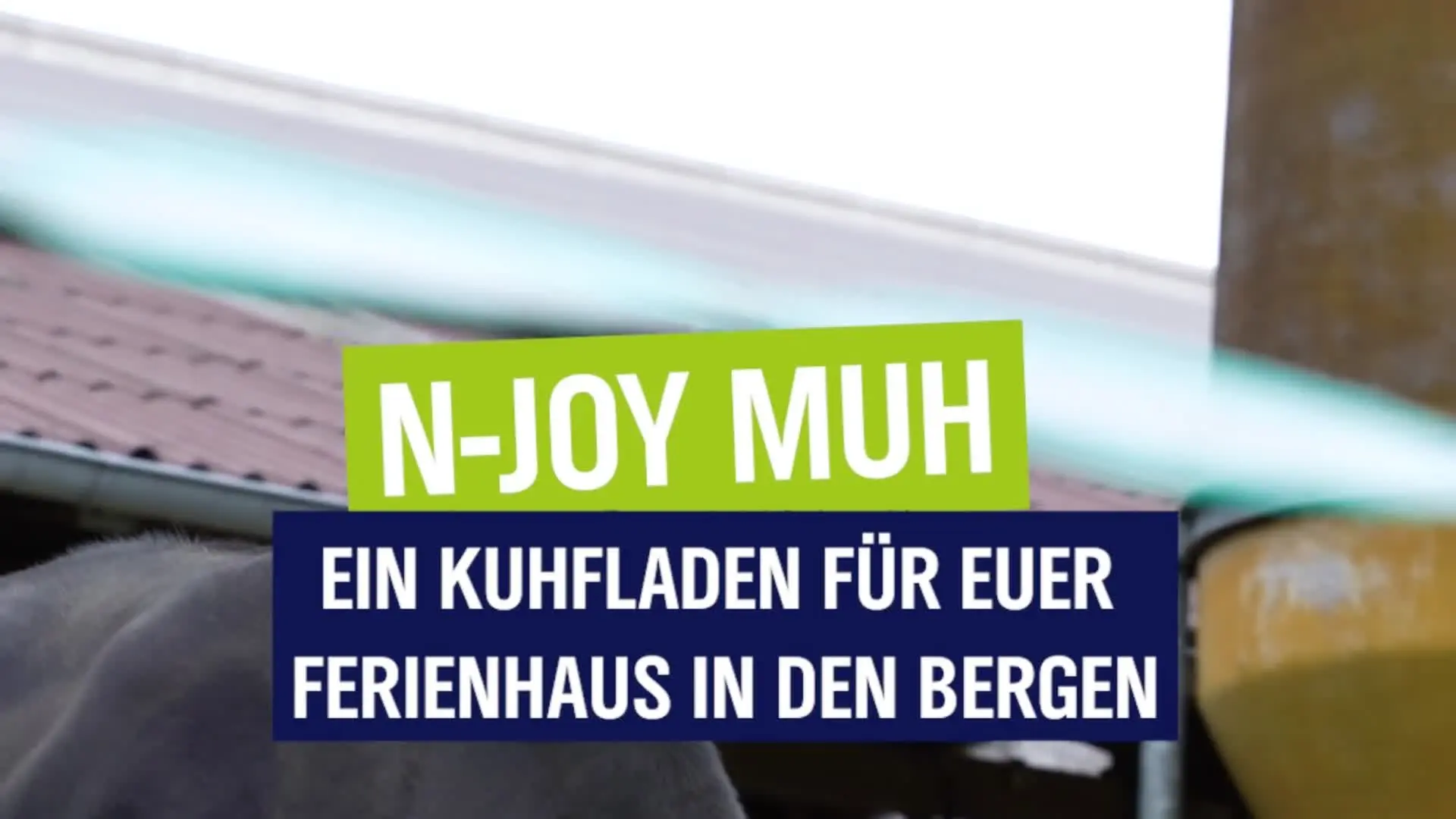 N-JOY Muh: Das Finale | ndr.de