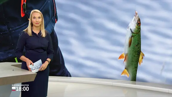 Schleswig-Holstein 18:00 | ndr.de