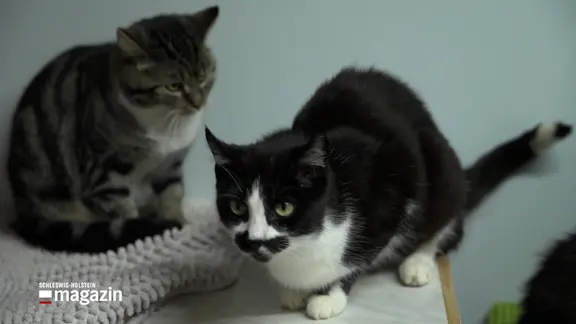 Norderstedt: P+R-Tiefgarage am Herold Center schließt dauerhaft | ndr.de