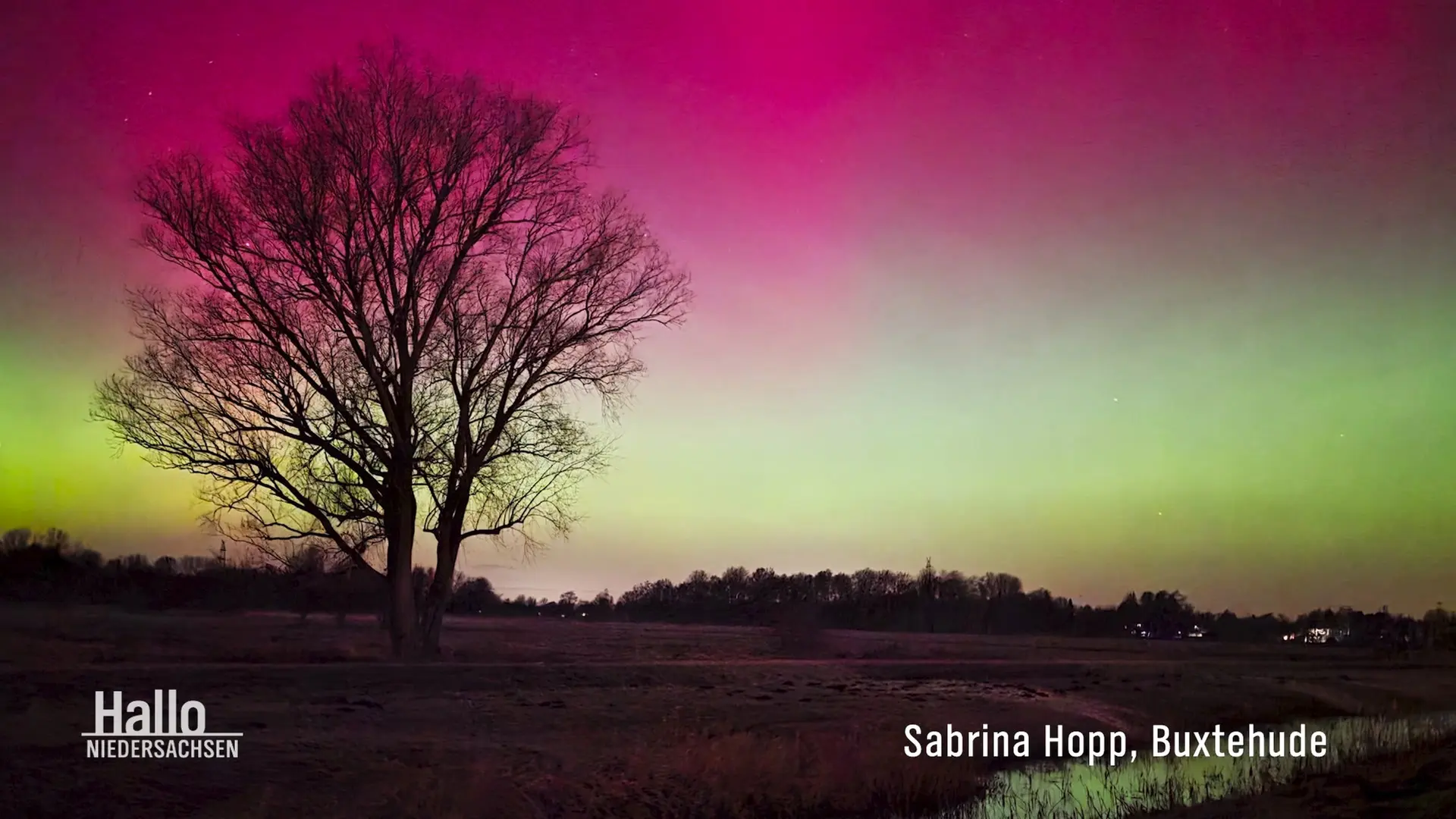 Polarlichter erstrahlen am Himmel über Niedersachsen | ndr.de
