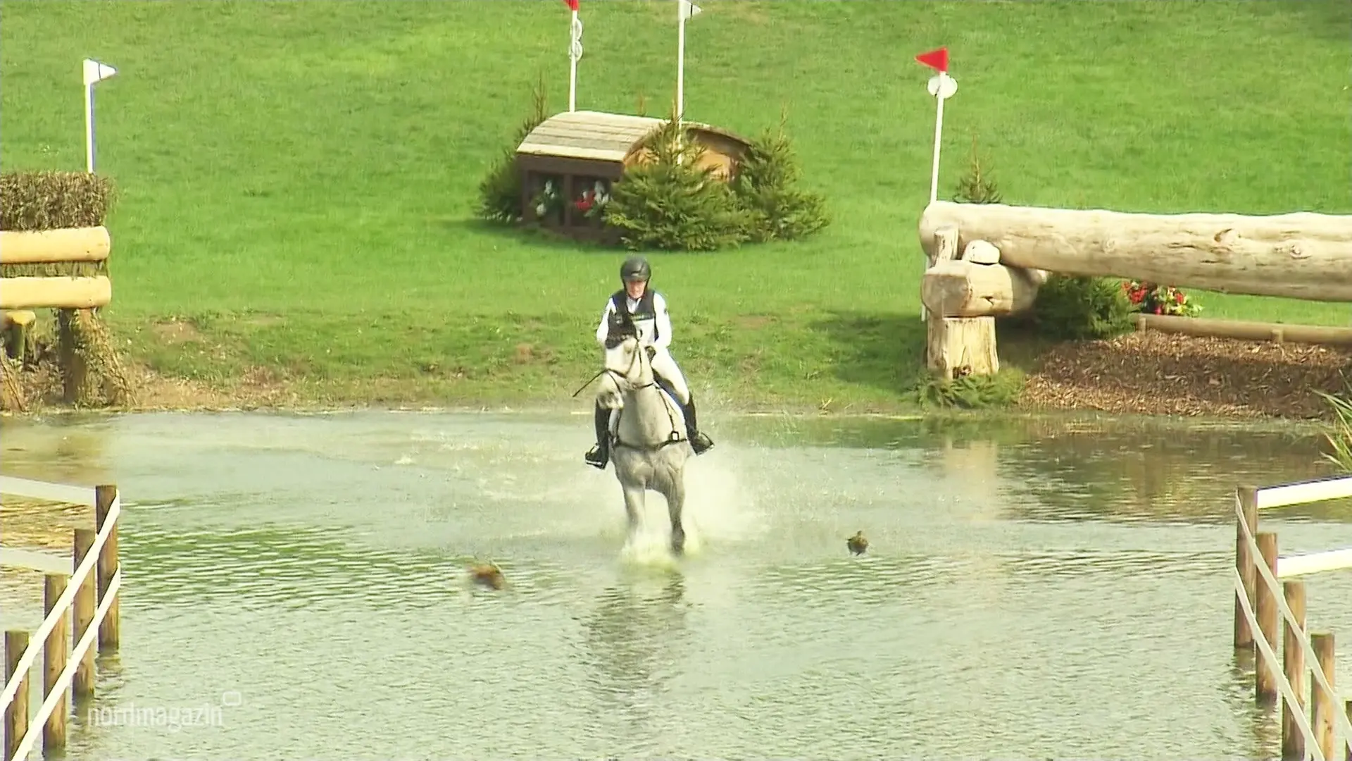 EM-Gold für Vielseitigkeitsreiterin Malin Hansen-Hotopp | ndr.de