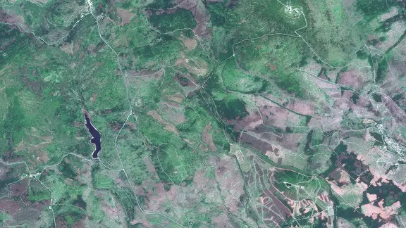 Der Wald im Harz bei Braunlage 2022 und 2025 | ndr.de