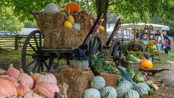 MV feiert Landeserntedankfest 2025 in Wismar und auf Poel | ndr.de