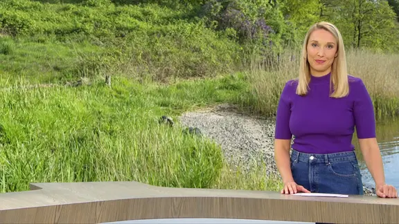 26. NordArt 2025 in Rendsburg eröffnet | ndr.de