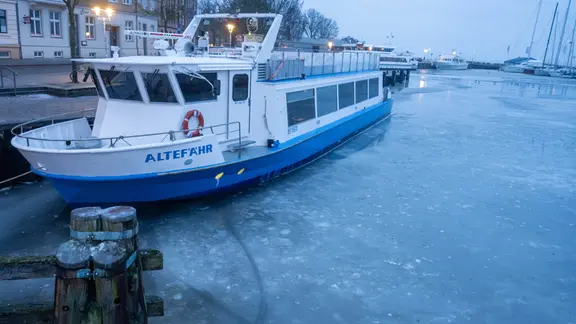 Sterne des Sports: Stralsunder Verein Baltic Dance verpasst Podestplatz ...