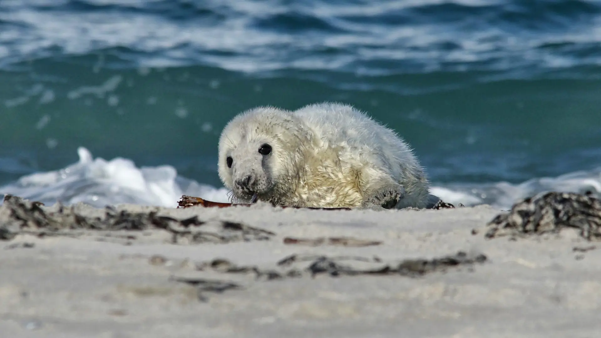 BINGO! - Die Umweltlotterie | ndr.de