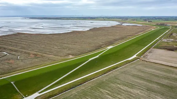 Nur zwei Prozent intakt: BUND will Auen an der Oberweser reaktivieren ...