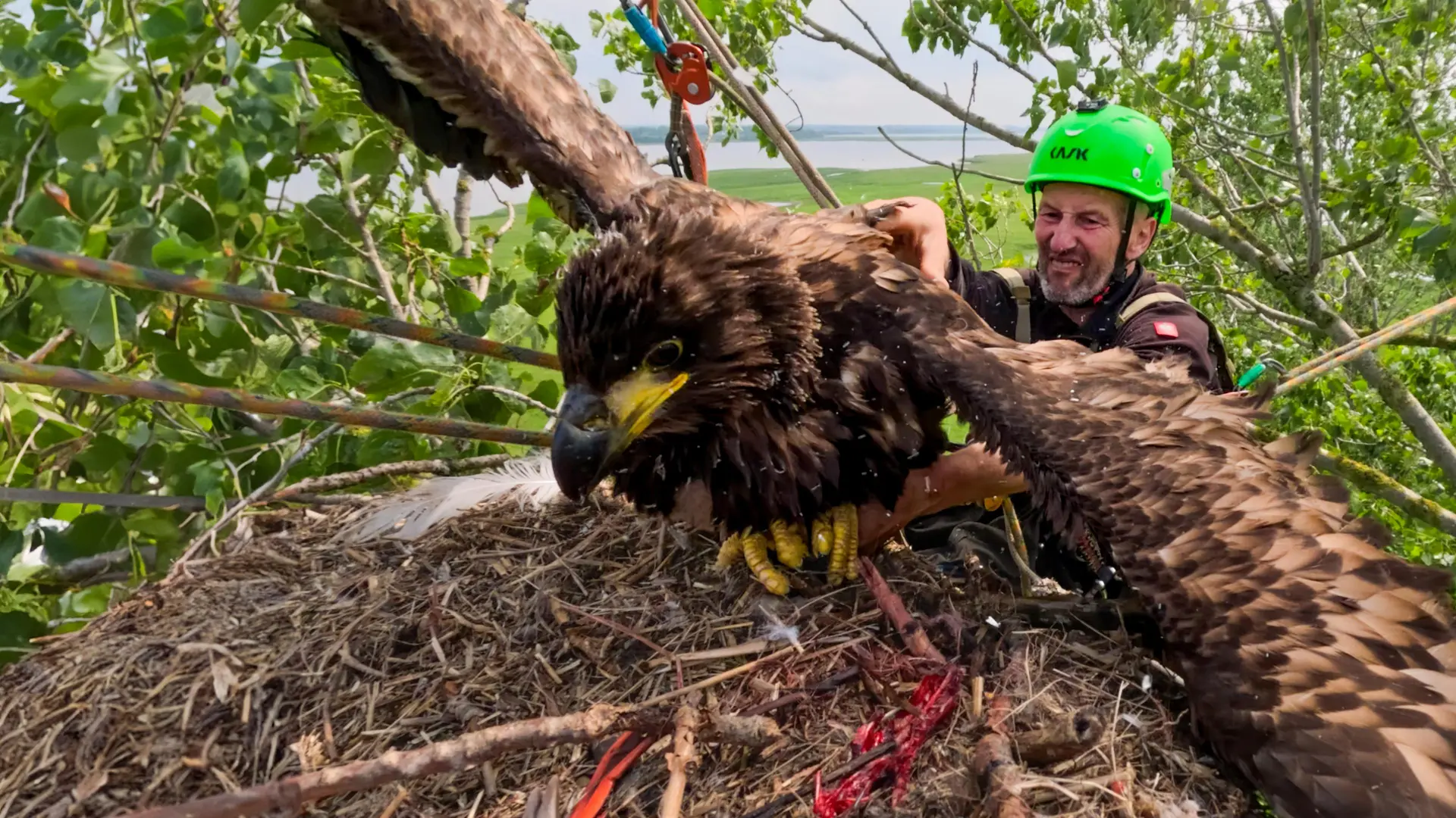 BINGO! - Die Umweltlotterie | ndr.de