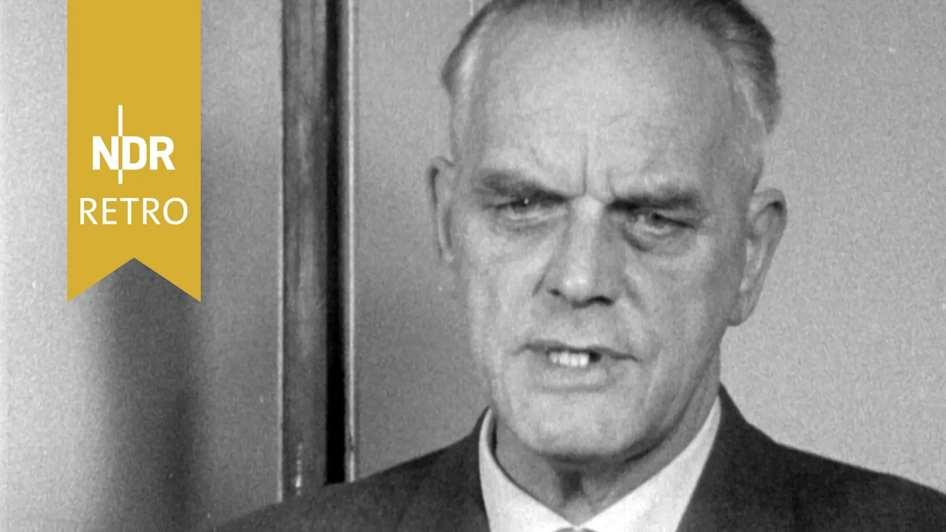 Interview mit dem Prähistoriker Alfred Rust | ndr.de