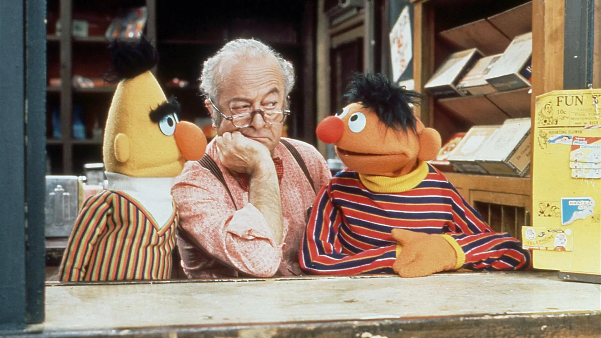 Kermit, Bibo, Ernie und Bert: Sesamstraße startete 1973 | ndr.de