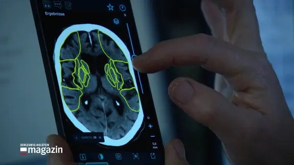 Überfülltes Tierheim in Rendsburg: Besuch nur mit Anmeldung | ndr.de