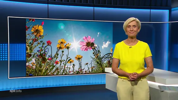 Stralsund: Rekruten-Mangel an der Marinetechnikschule Parow | ndr.de