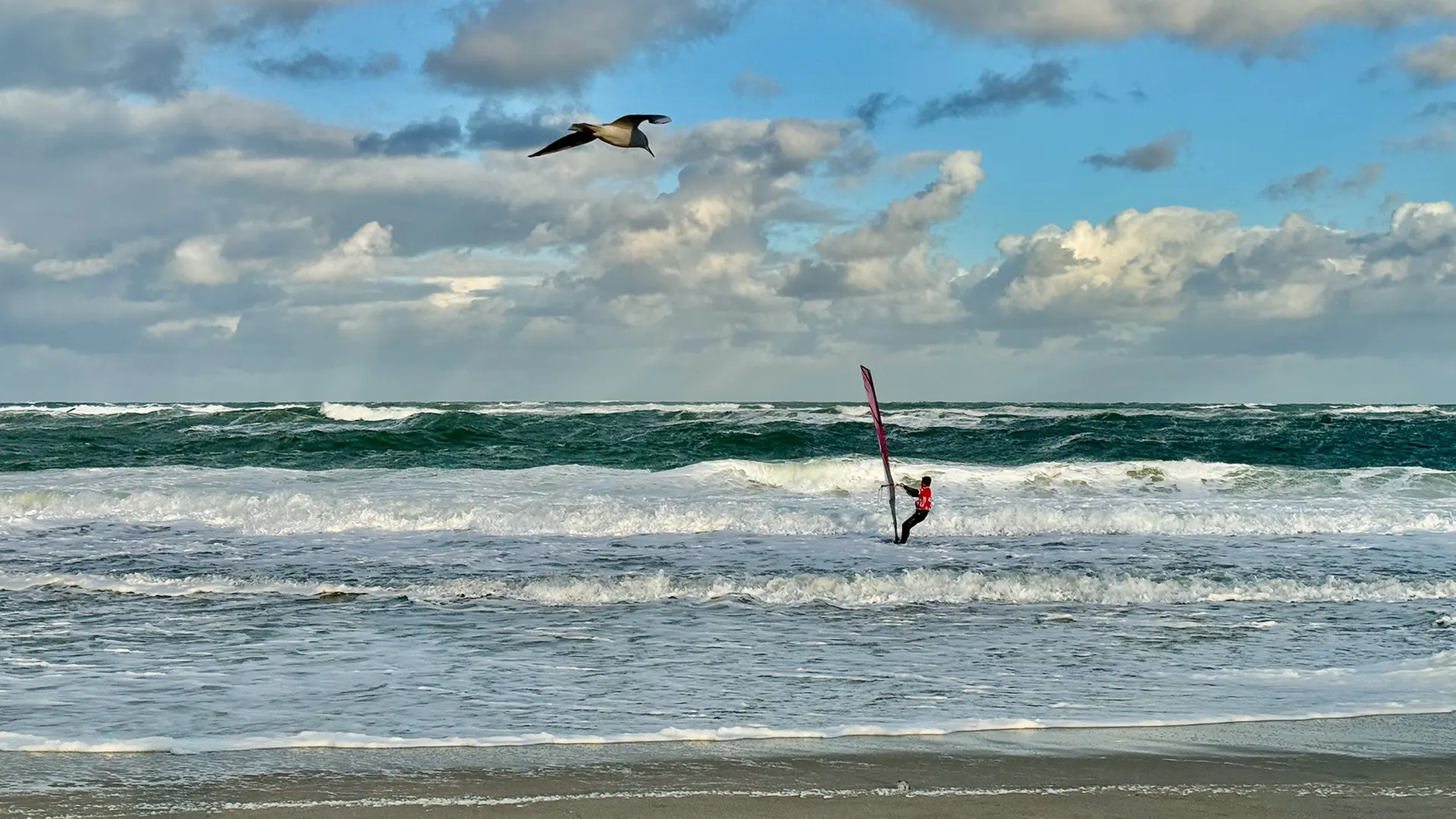 Fehmarn: Passanten finden toten Windsurfer | ndr.de