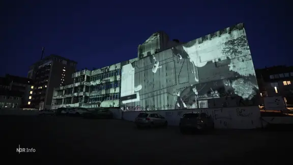 Wer oder was ist schuld am Robbensterben im Herbst 2024? | ndr.de