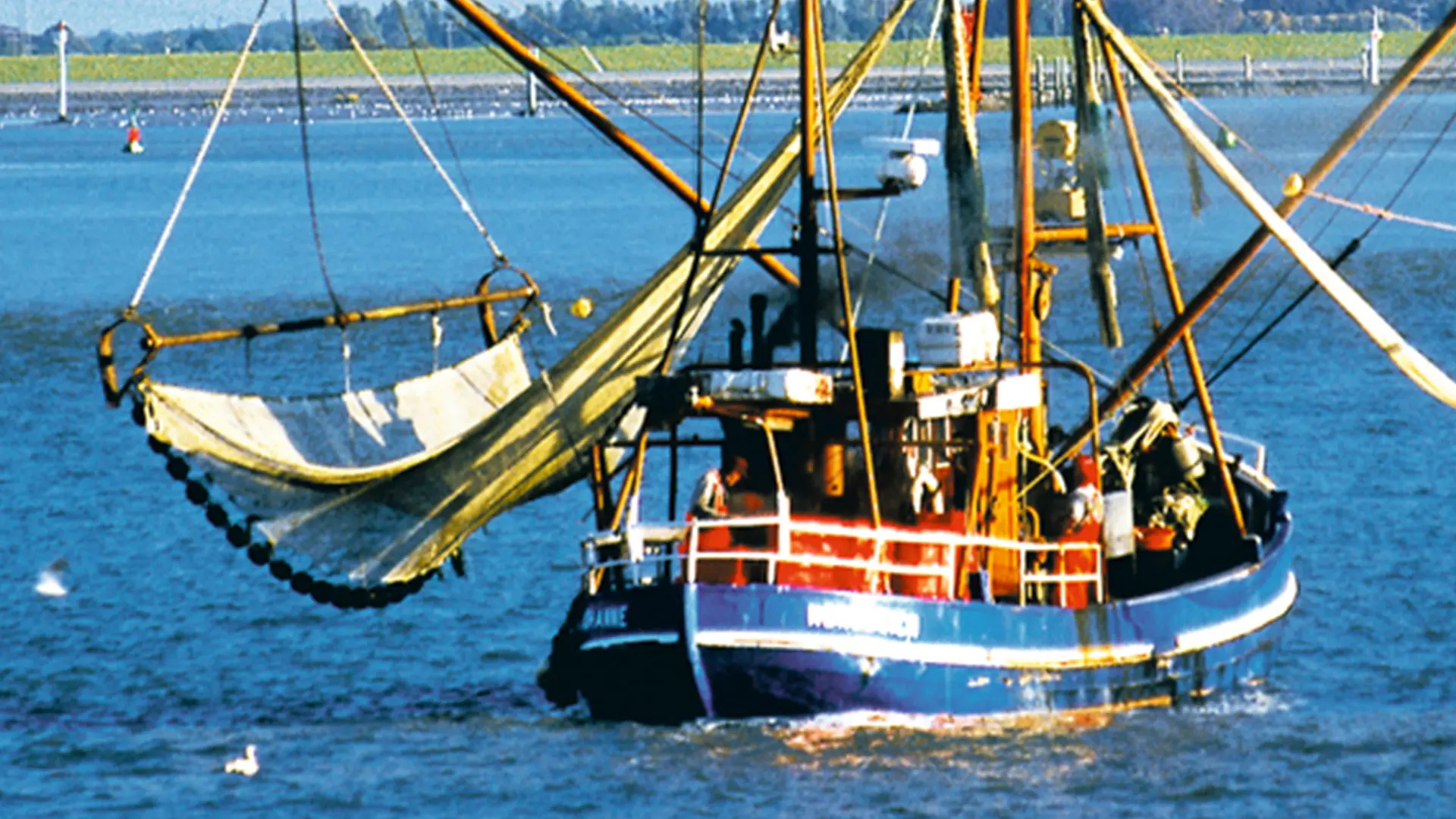 Plattdeutsch | ndr.de