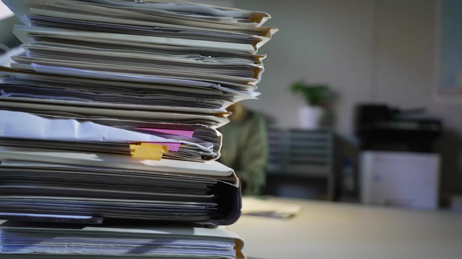 Landkreis Lüchow-Dannenberg will verkaufte Einbürgerungen aufheben | ndr.de