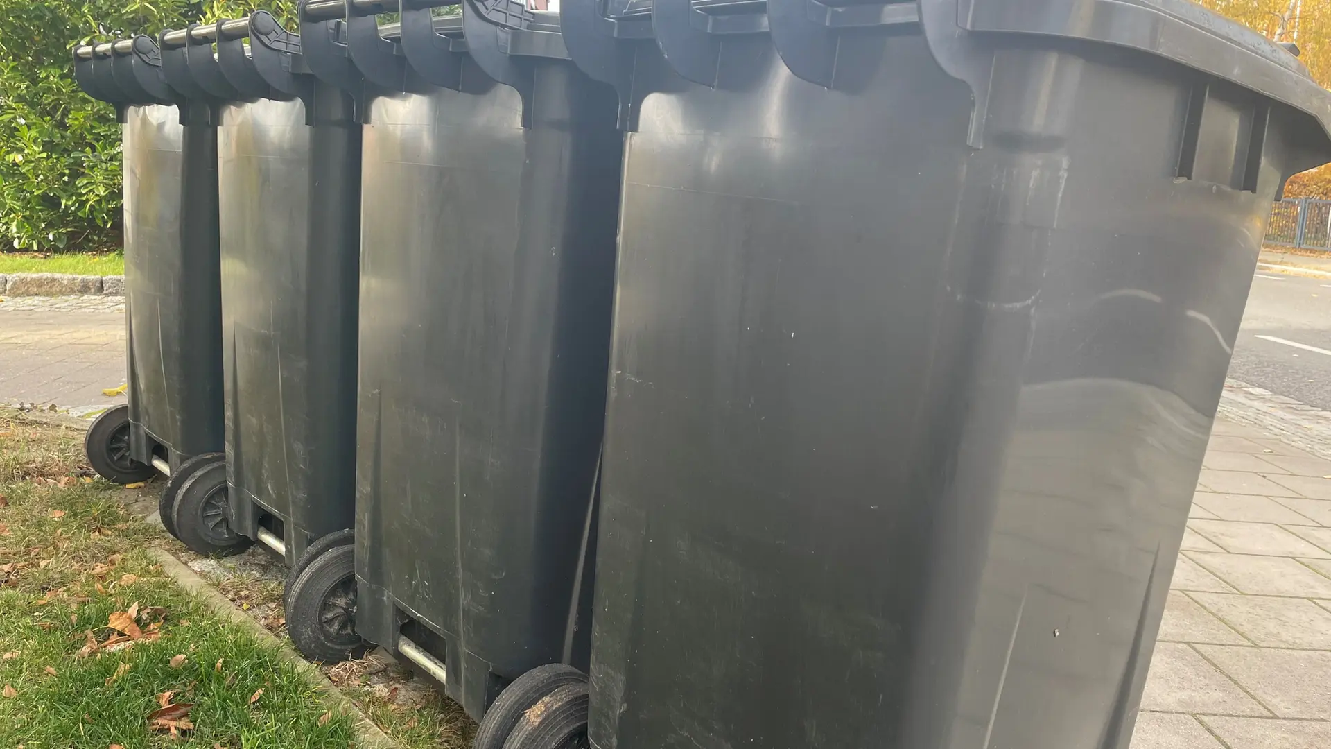 Restmüllentsorgung in Rostock: Neue Touren, neue Abfuhrtermine | ndr.de