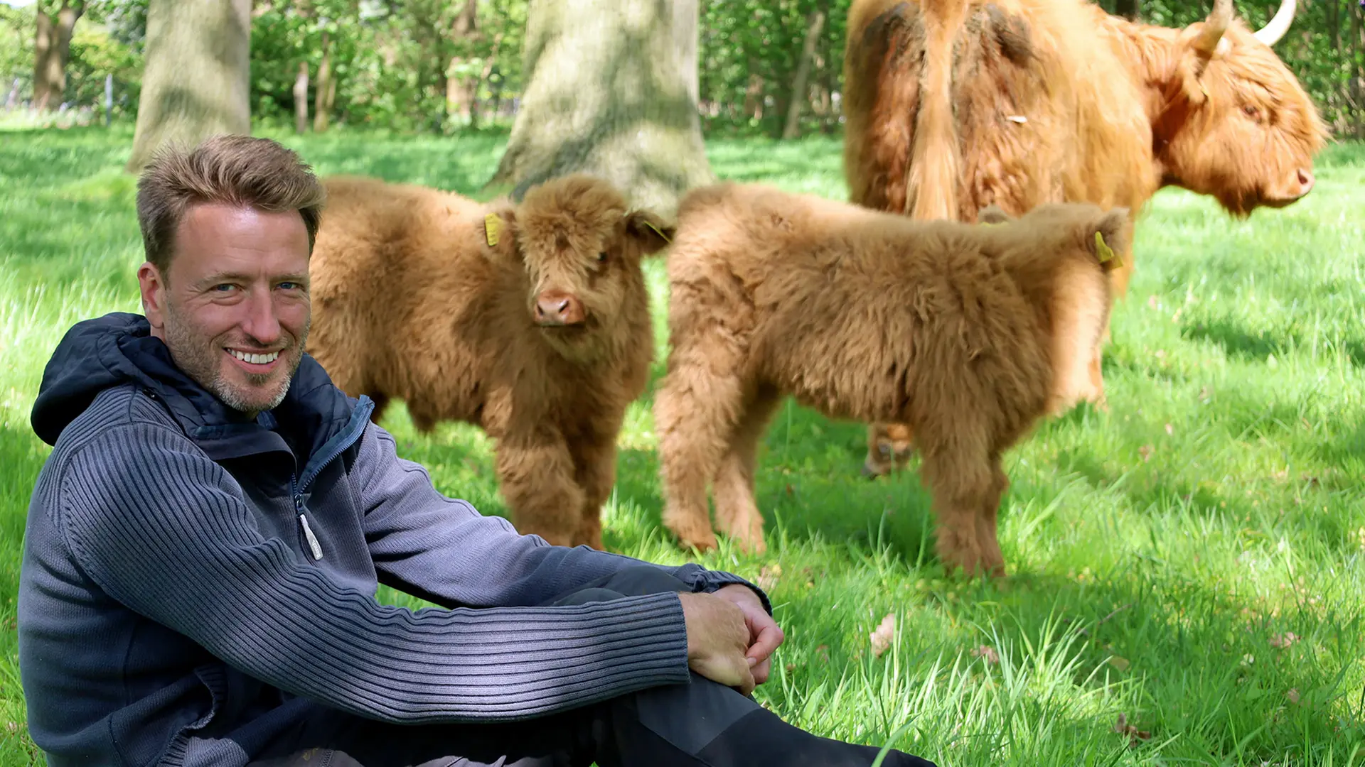 Highland-Rinder für den Insel-Bauern | ndr.de