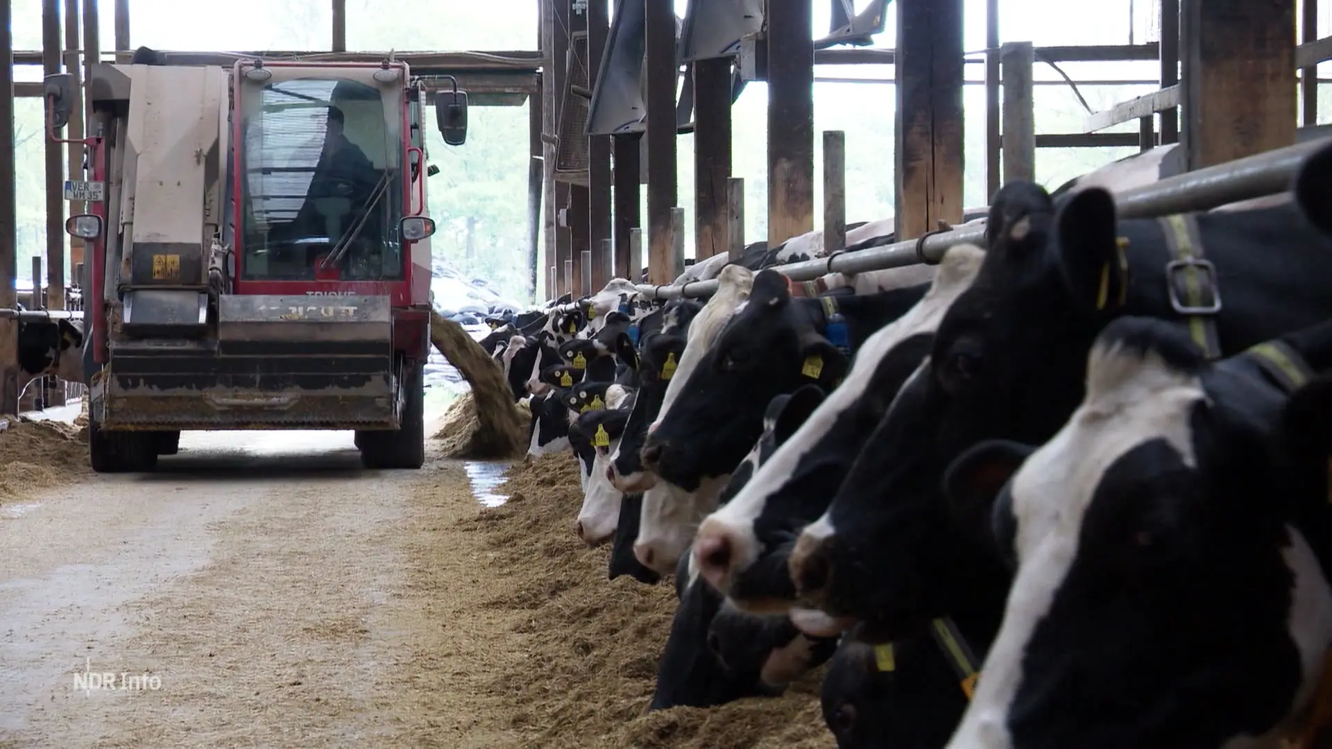 Milchviehhalter fordern 55 Cent pro Liter Milch | ndr.de