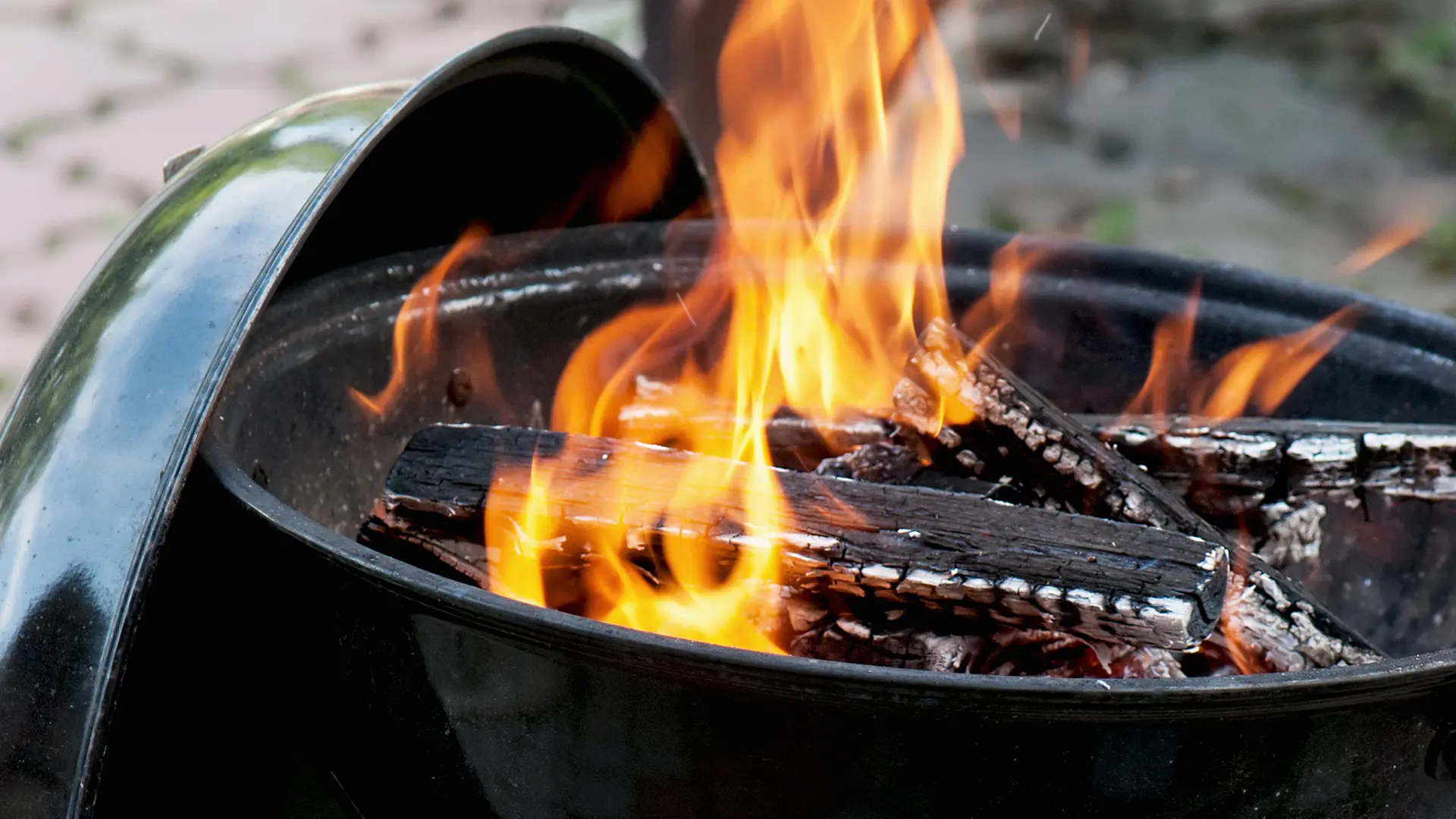 BINGO! - Die Umweltlotterie | ndr.de