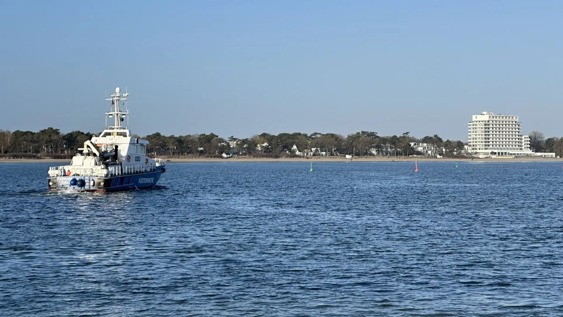 Gestrandeter Wal in Lübecker Bucht schwimmt sich offenbar frei | ndr.de