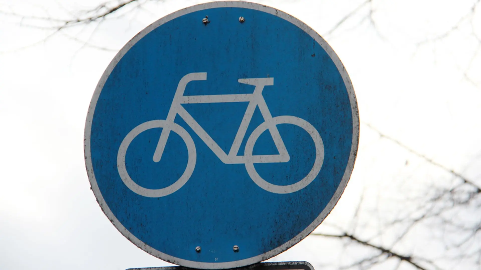 Radweg an der Kreisstraße 91 ist früher als geplant fertig | ndr.de